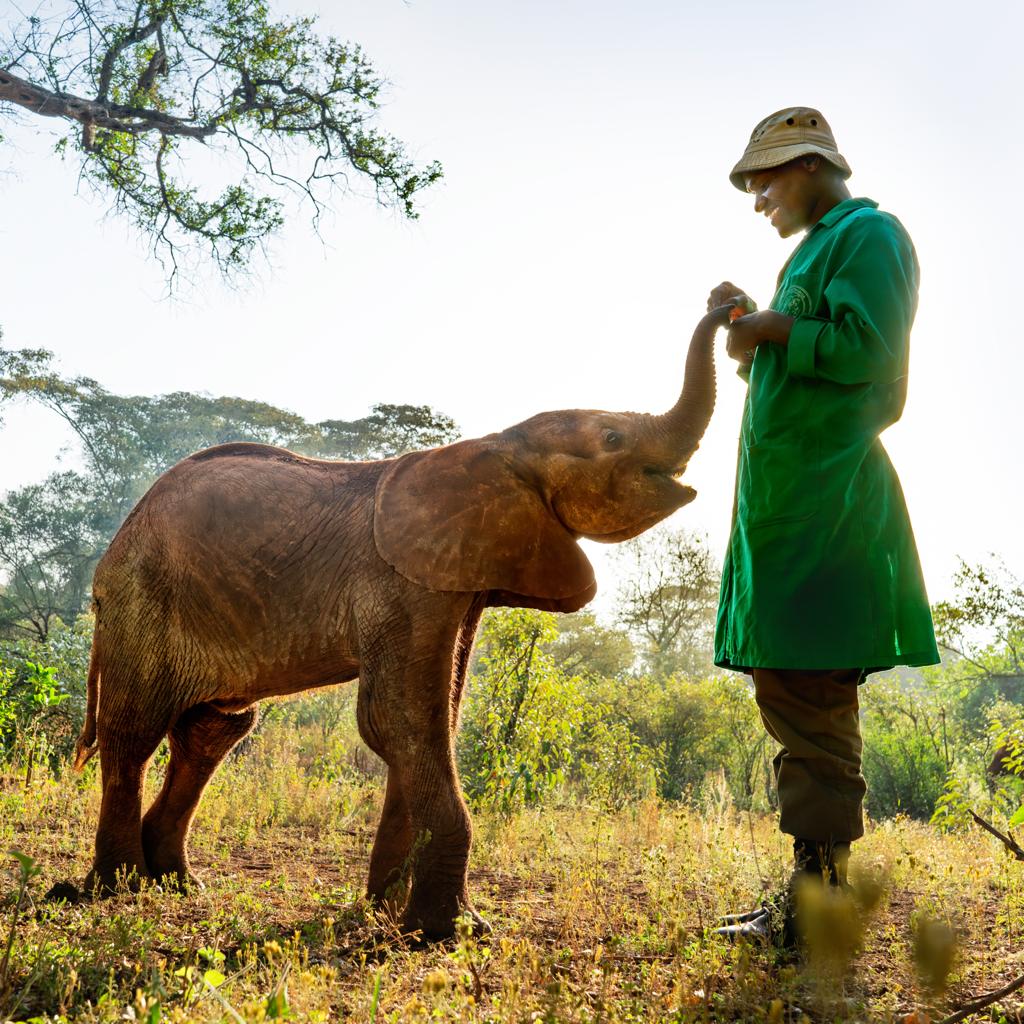 "A Perfect Planet" nominated for this years’ TV Choice Awards ...