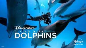 DISNEY+ Launches in UK as Lockdown begins and our Films are released ...